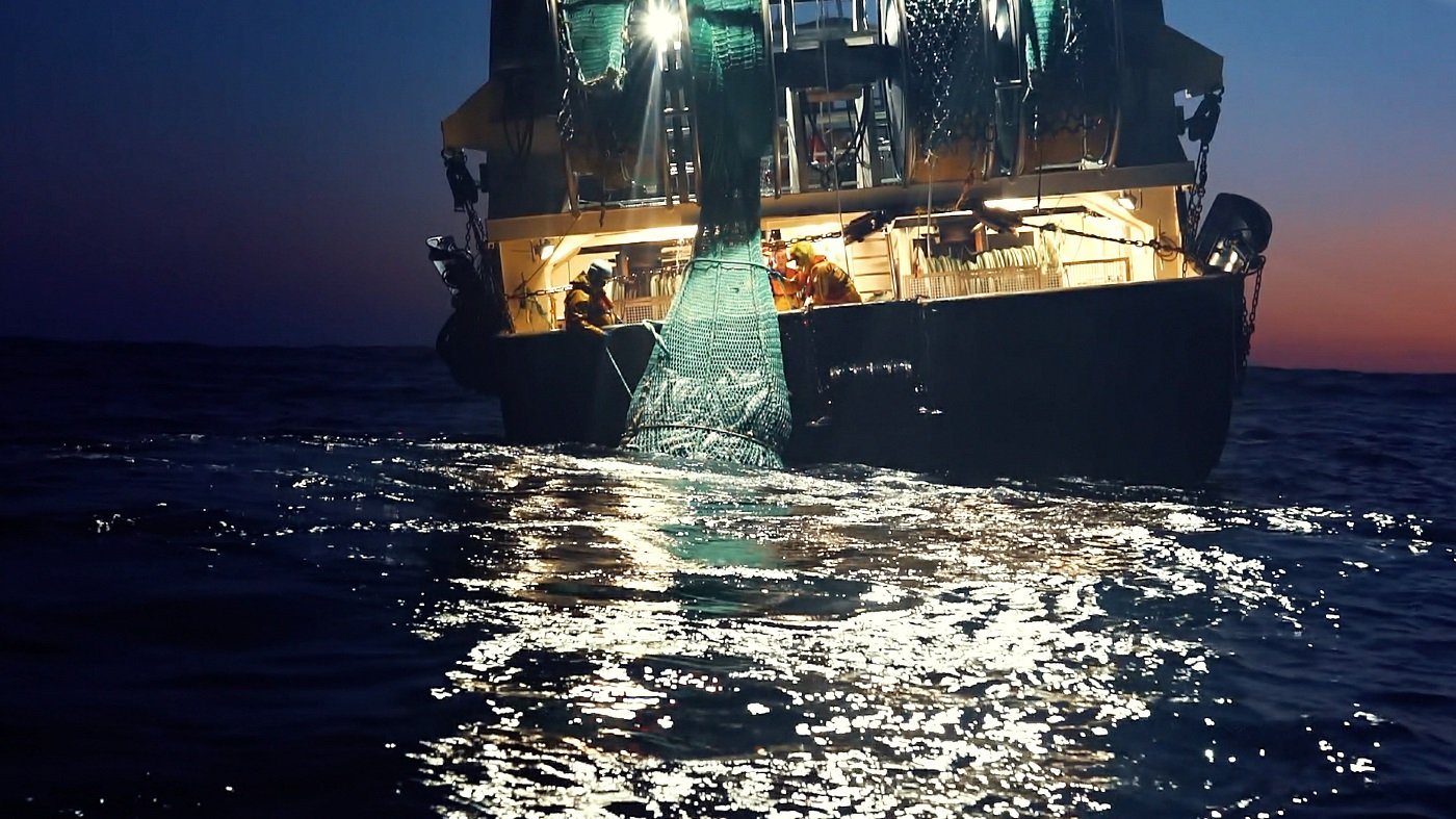 Netflix-Doku "Seaspiracy" verdirbt Appetit auf Fisch | NOT TOO OLD magazin